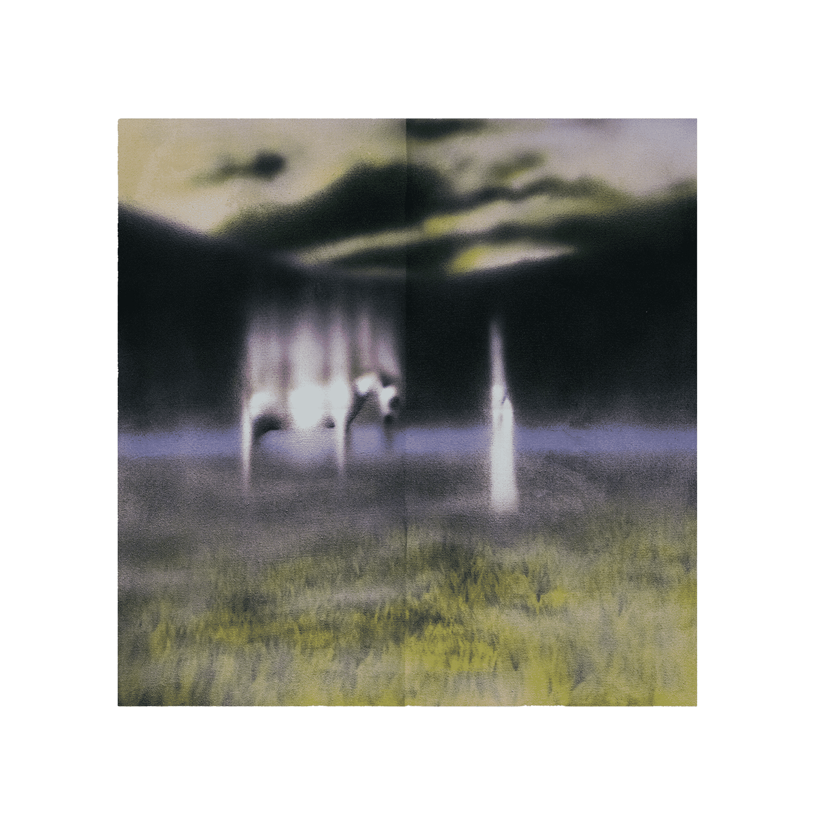 Navy Blue Official Store