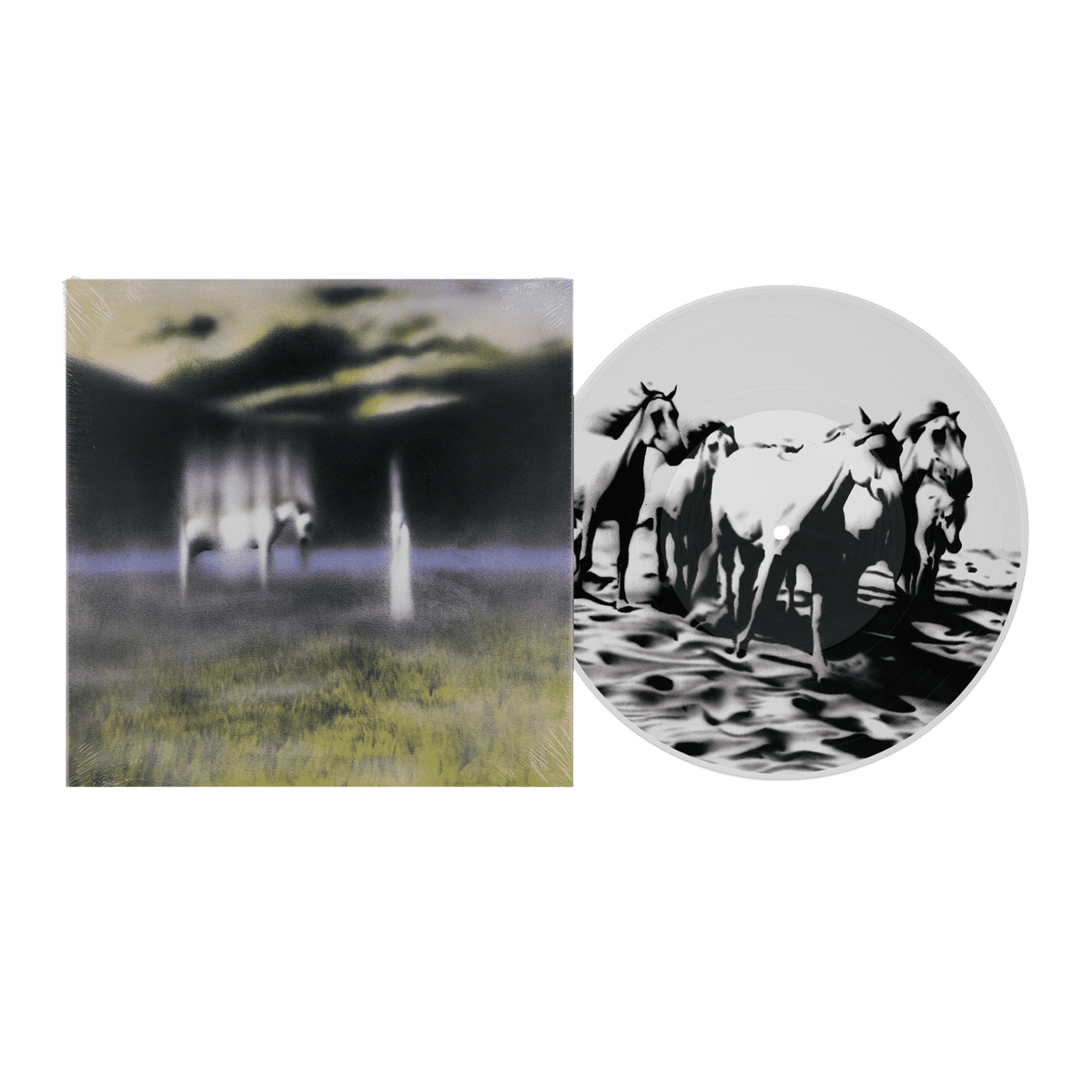 Navy Blue Official Store